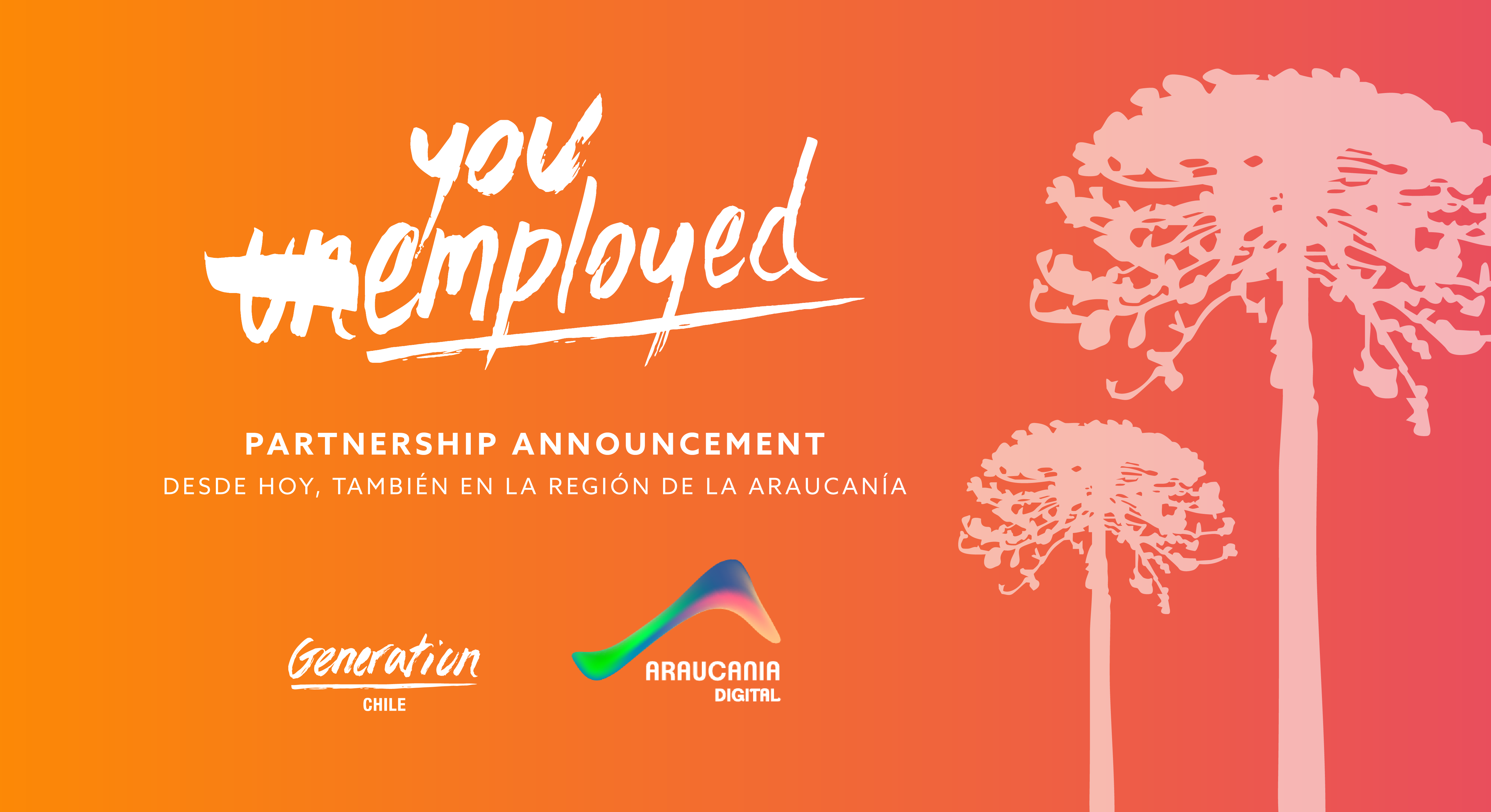 La Empleabilidad con Propósito llega a la Región de la Araucanía | Generation Chile